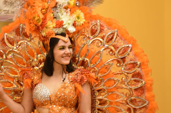 Fasching in Augsburg und der Region - Regio Augsburg Tourismus